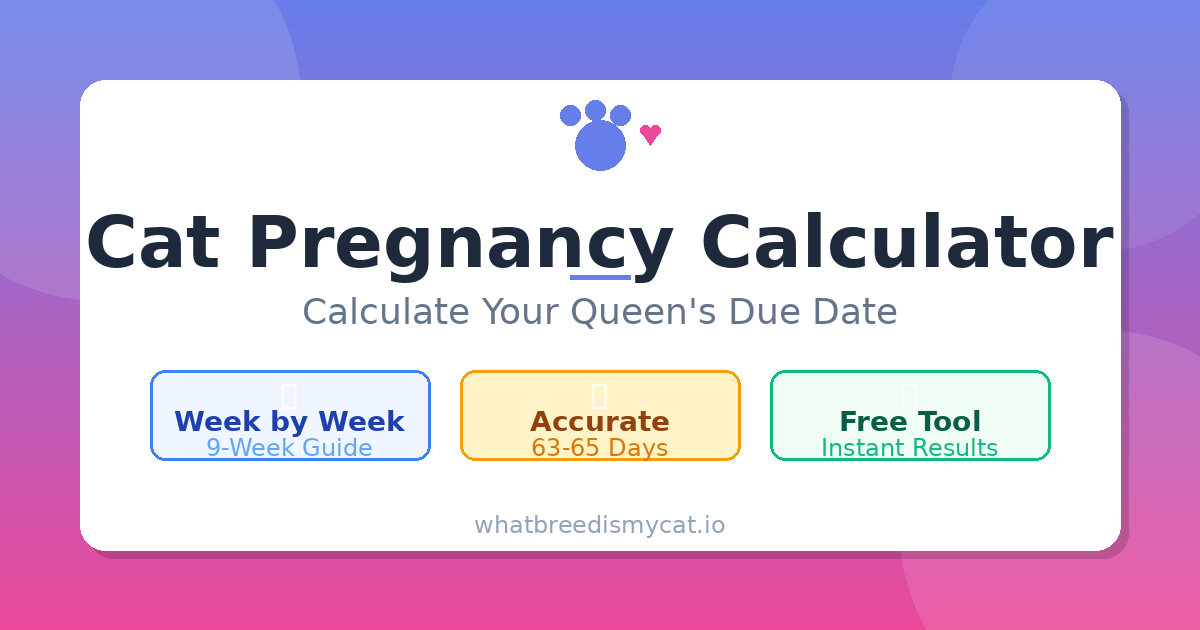 Free Cat Pregnancy Calculator | Find Your Cat's Due Date & Gestation ...